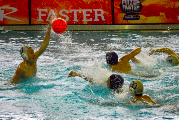 Water Polo 101 - Fitter and Faster Swim Camps