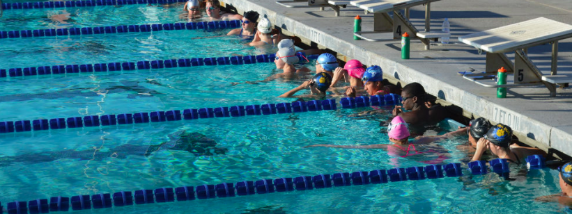 A Champion's Favorite Taper Activity - Fitter and Faster Swim Camps